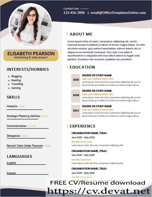 Download Sales Manager Resume Template For MS Word CV Resume Download 